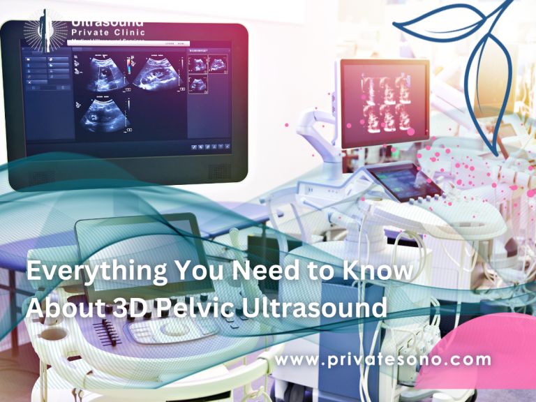 Everything You Need To Know About 3d Pelvic Ultrasound Private Ultrasound Clinic